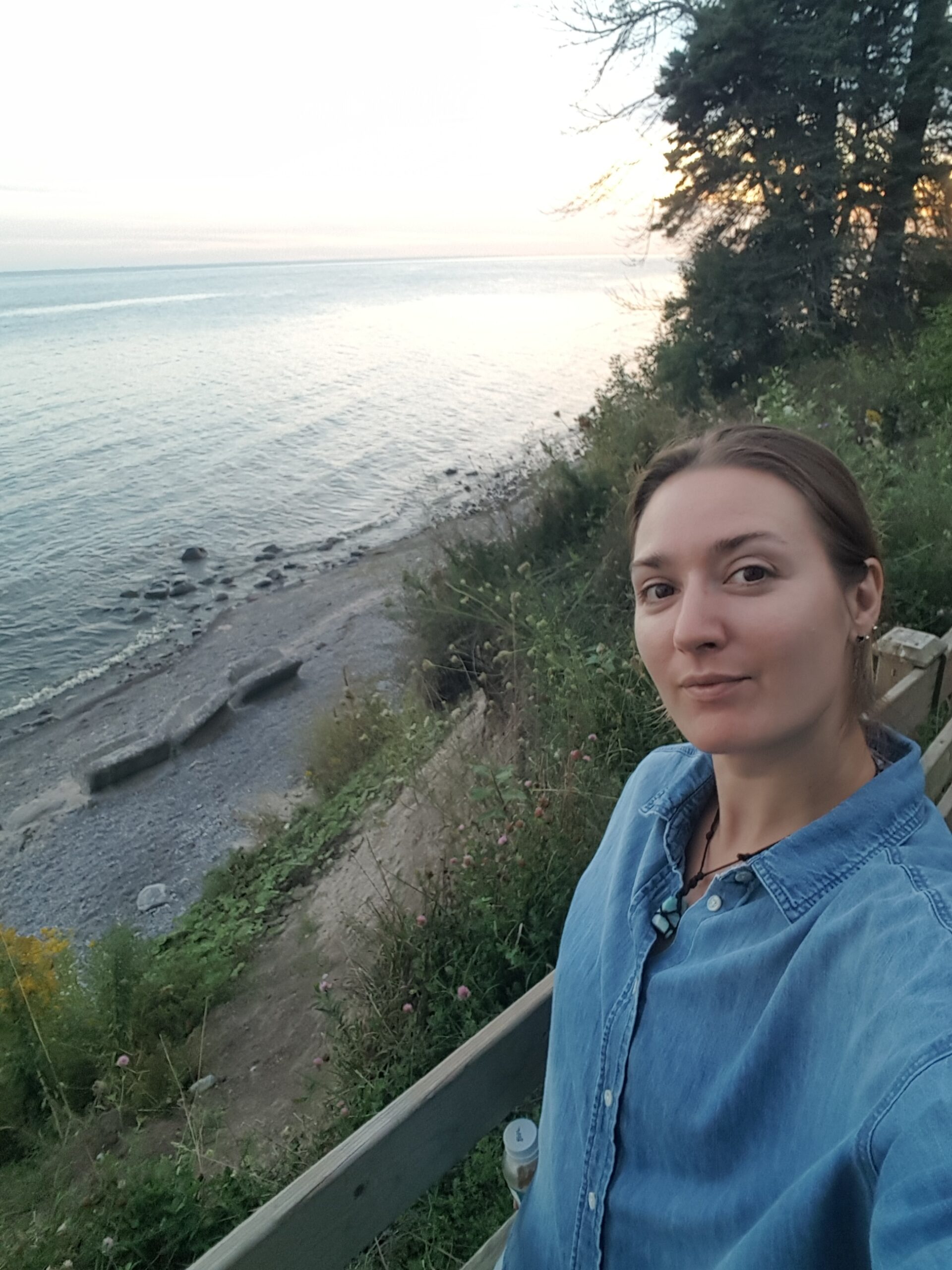 Homepage - hippie crow hub